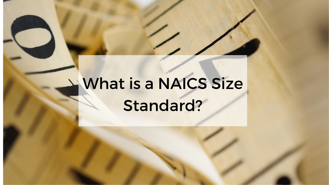 What Does Naics Size Standard Mean - Free Printable Download